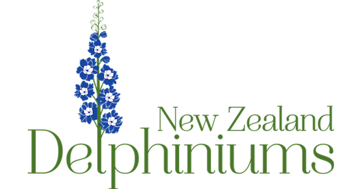 Growing Delphiniums from seed and caring for them – New Zealand Delphiniums